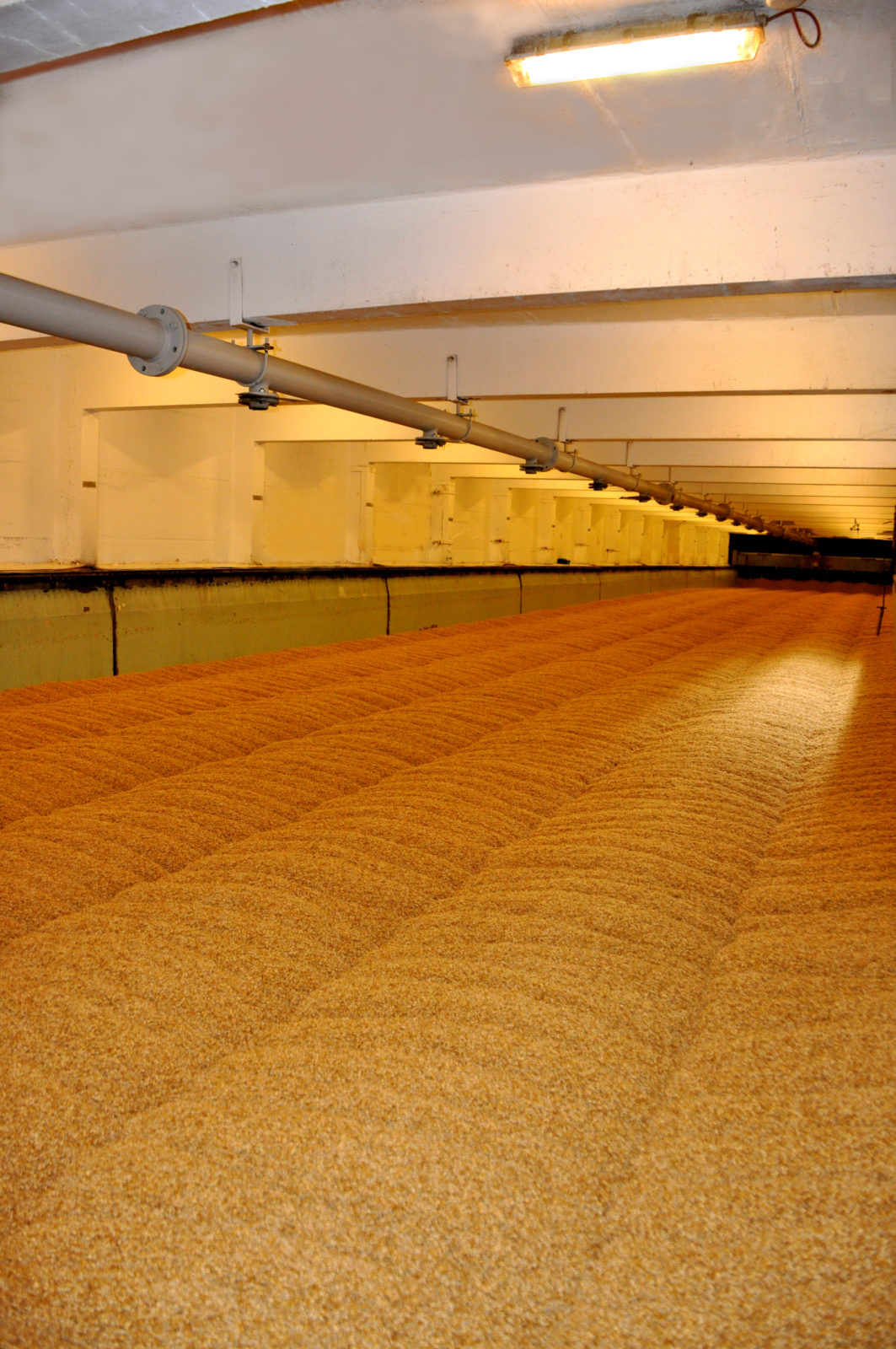 Vapourtight coating in a malt factory - RibbStyle