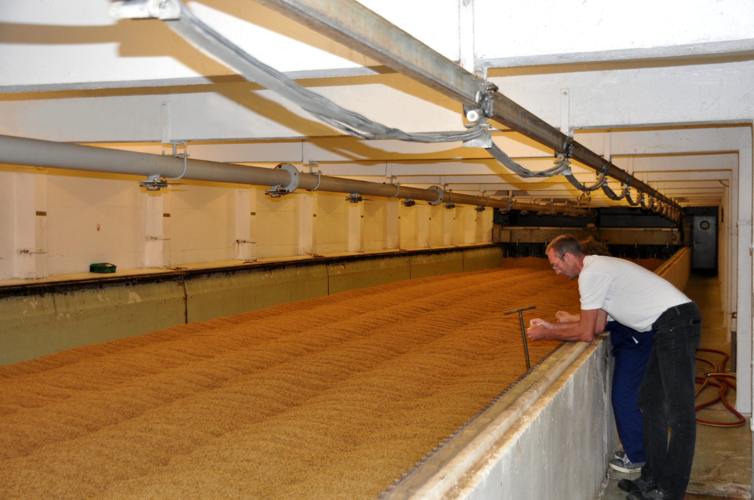 Vapourtight coating in a malt factory - RibbStyle
