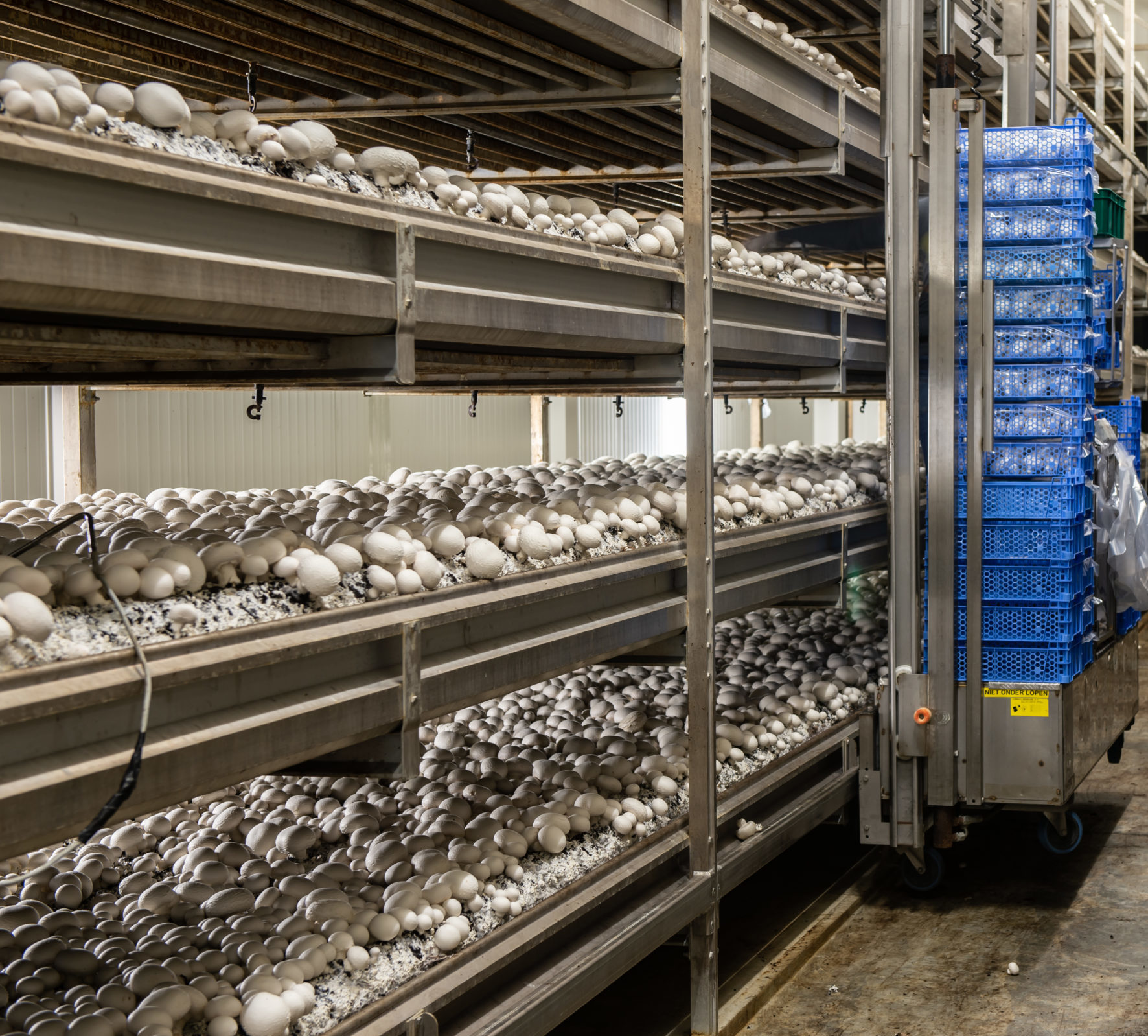 The sealing of mushroom growing rooms - RibbStyle