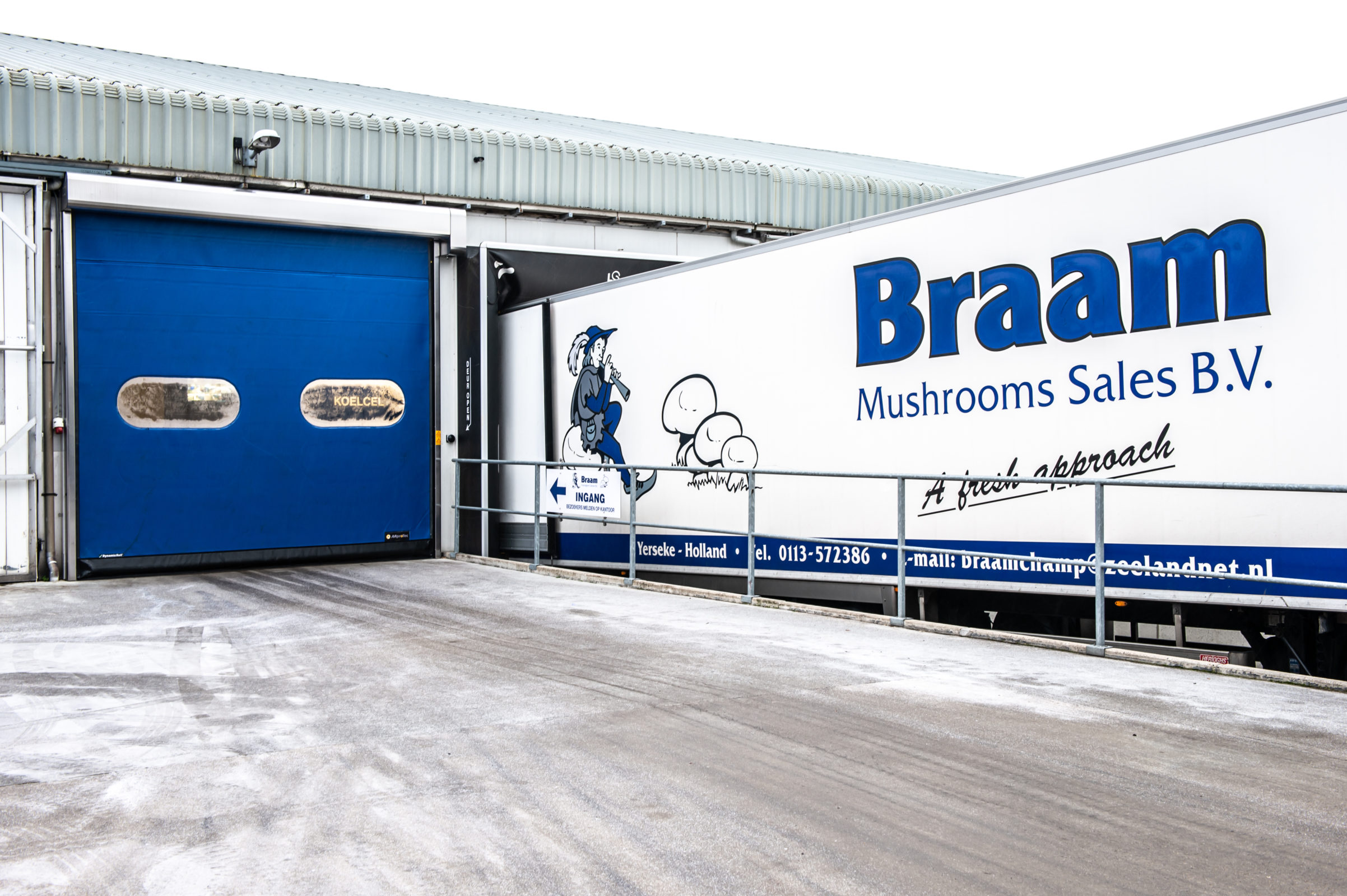 El sellado de las cámaras de cultivo de setas en Braam Champignon ...